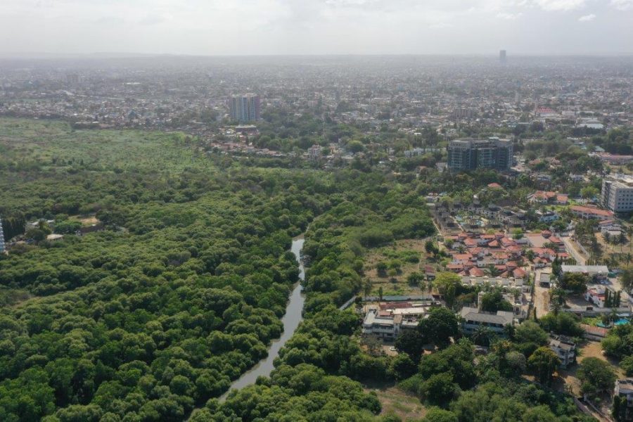 The Lower Msimbazi Upgrading Project (LMUP): Feasibility studies ...