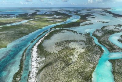 Home - CDR International